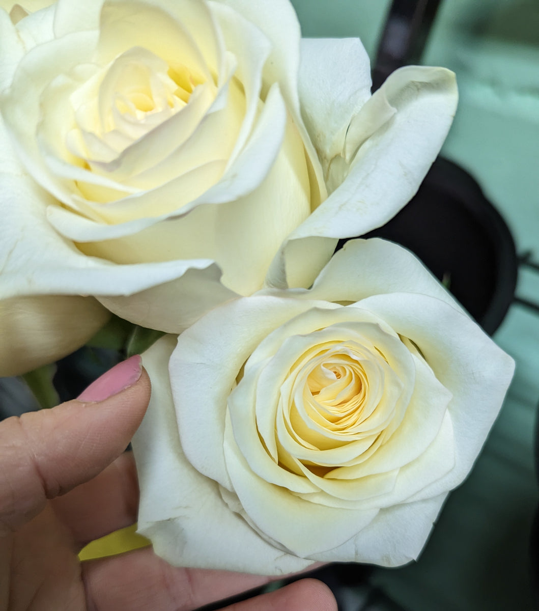 Candlelight Garden Rose Bouquet – artgoodies - vintagegoodies ...