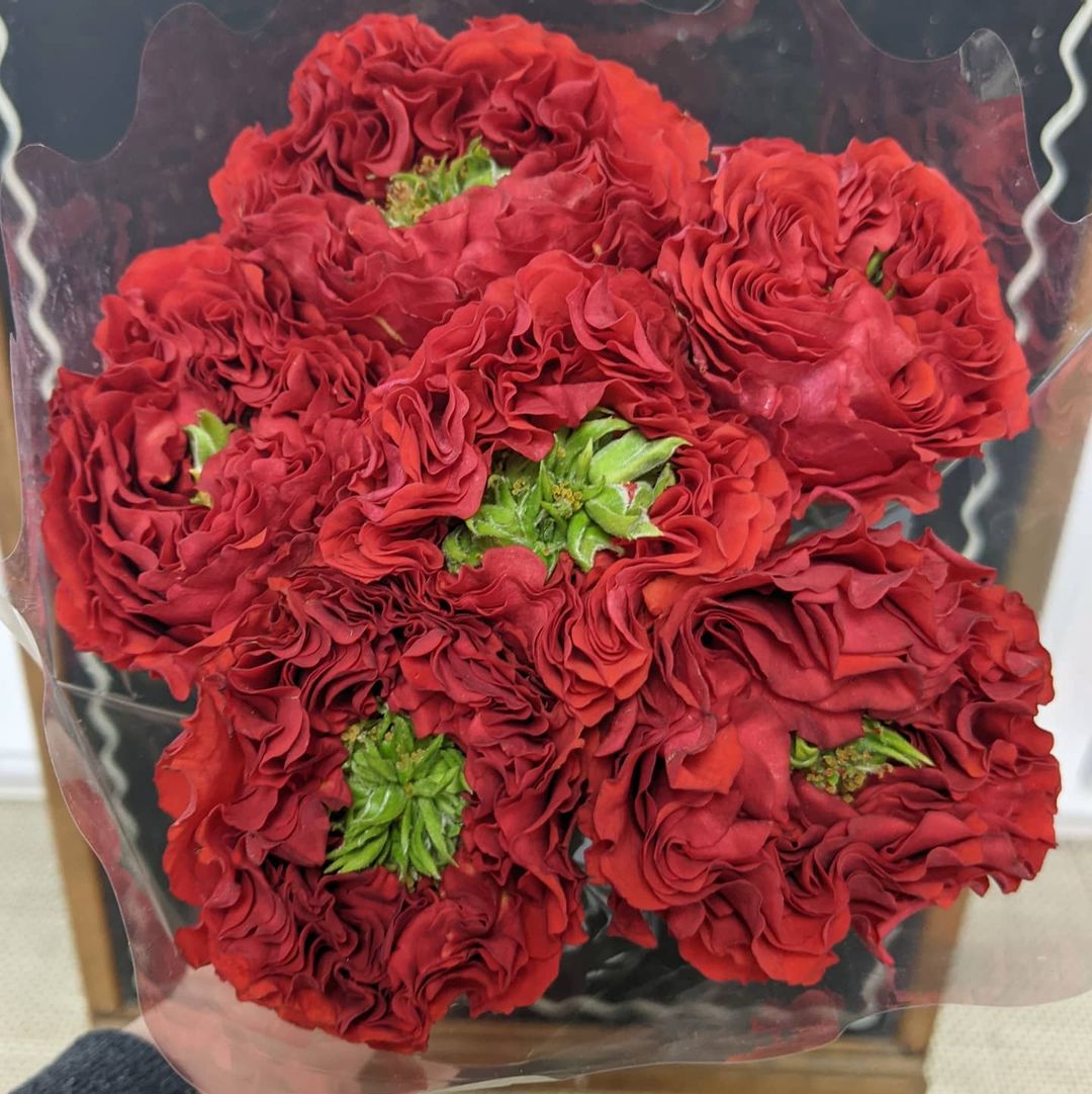 Christmas Rose Bouquet – artgoodies - vintagegoodies - flowergoodies